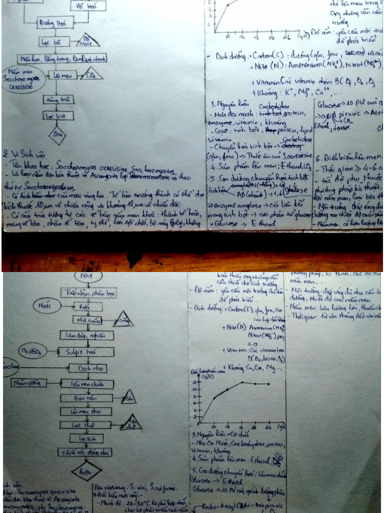 BT4 2005230316 | PDF