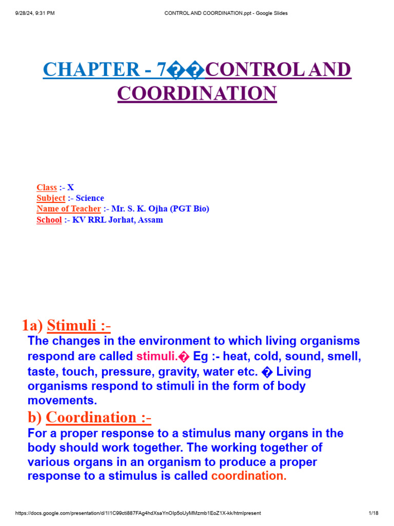 Control and Coordination | PDF