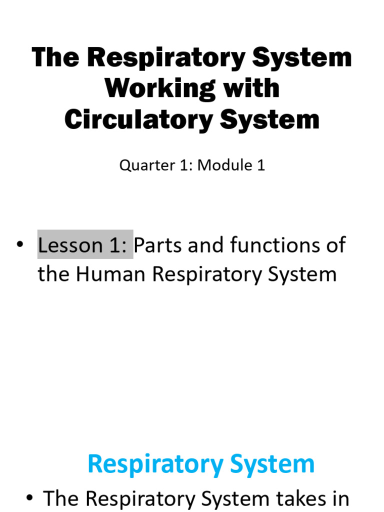 Module 1 Resp Circ | PDF