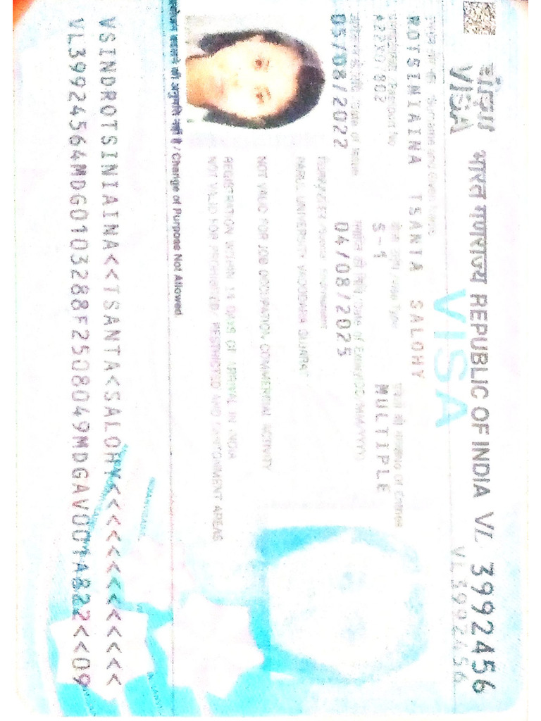 Copy Visa | PDF