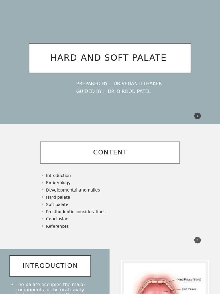 Hard and Soft Palate | PDF