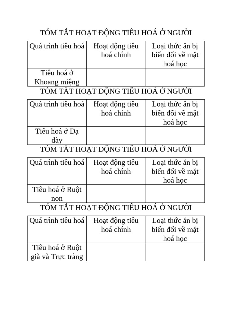 Tóm Tắt Hoạt Động Tiêu Hoá ở Người Phiếu Học Tập | PDF