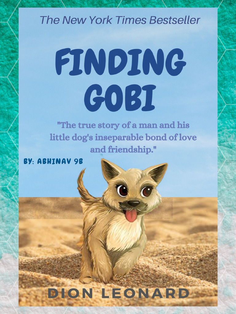 Finding Gobi Read Activity by Abhinav 9B | PDF