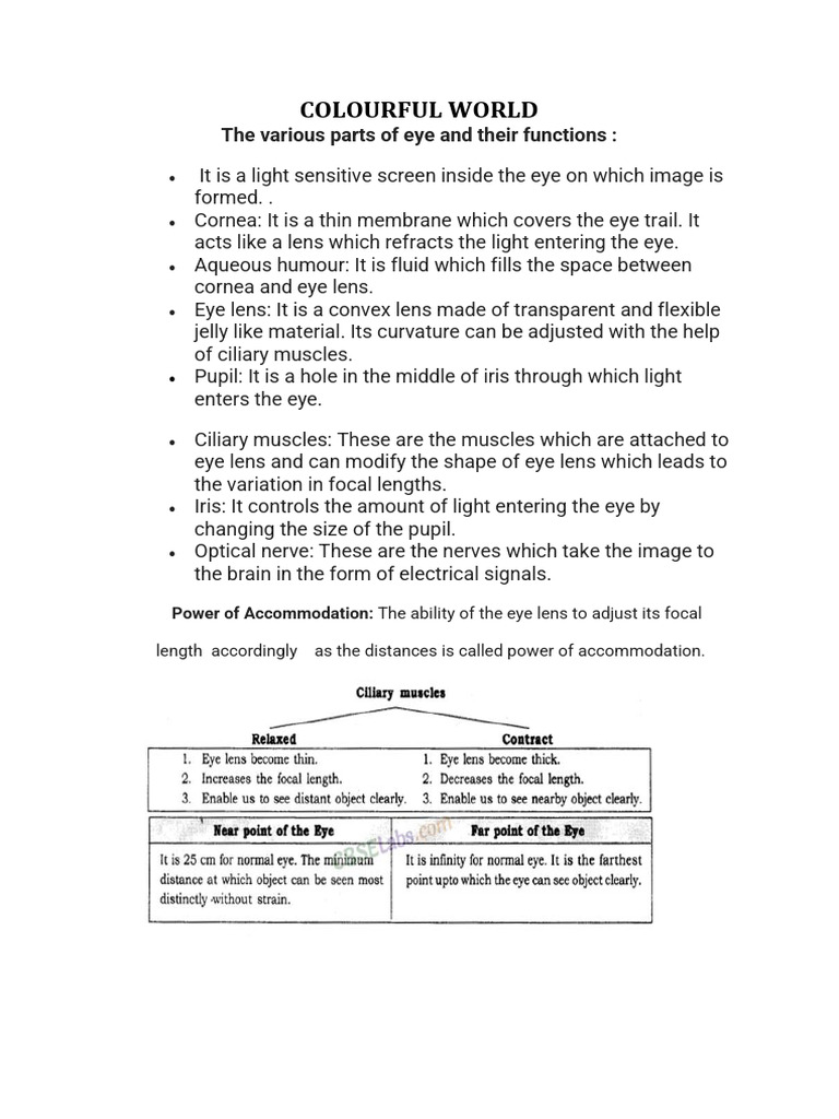 Defects of Vision and Their Correction | PDF | Rainbow | Eye