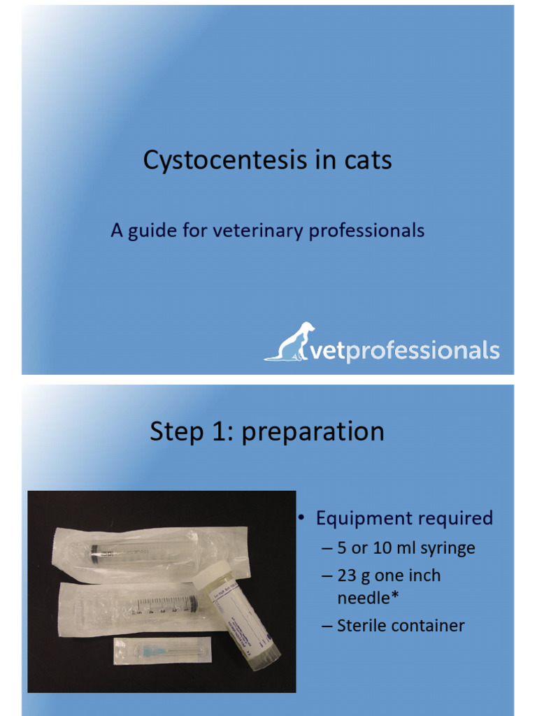 Cystocentesis in Cats 2019 | PDF