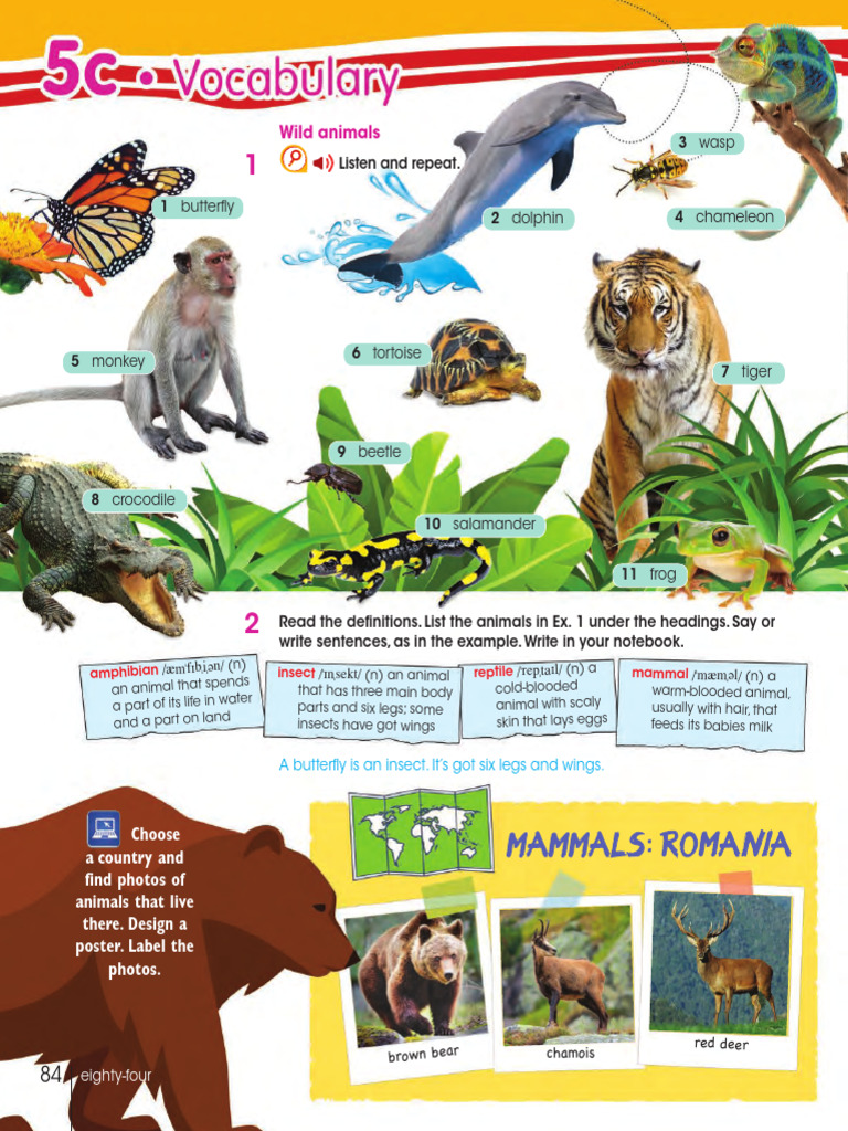 Wild Animals Manual | PDF