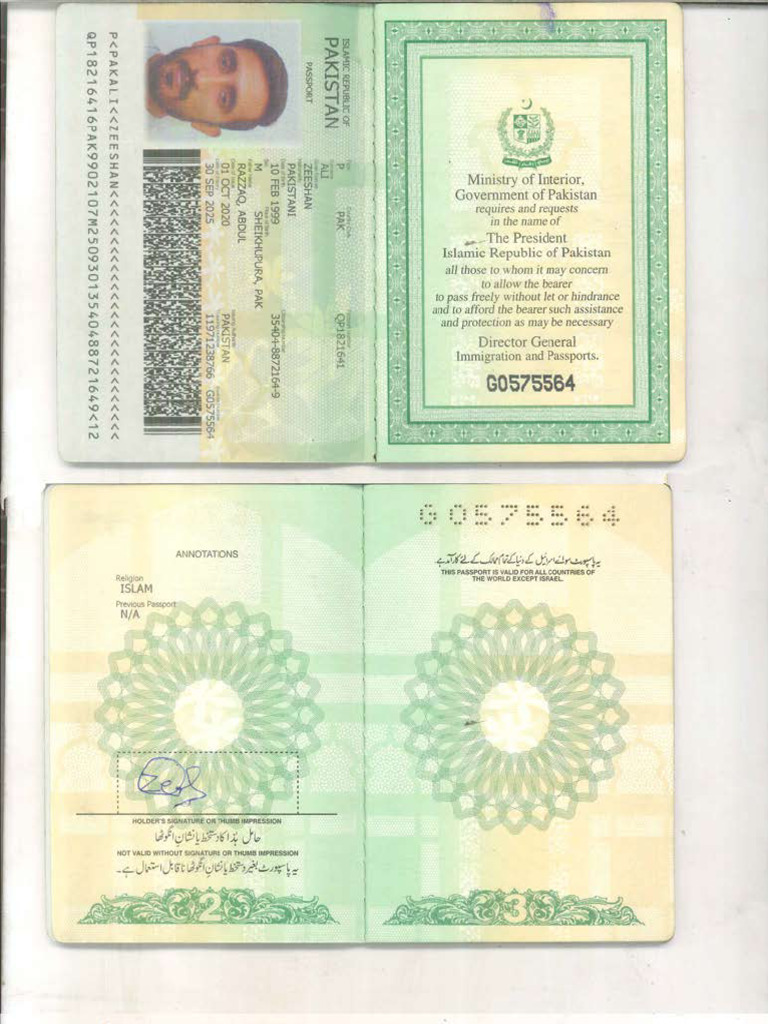 Zeeshan Ali Passport | PDF