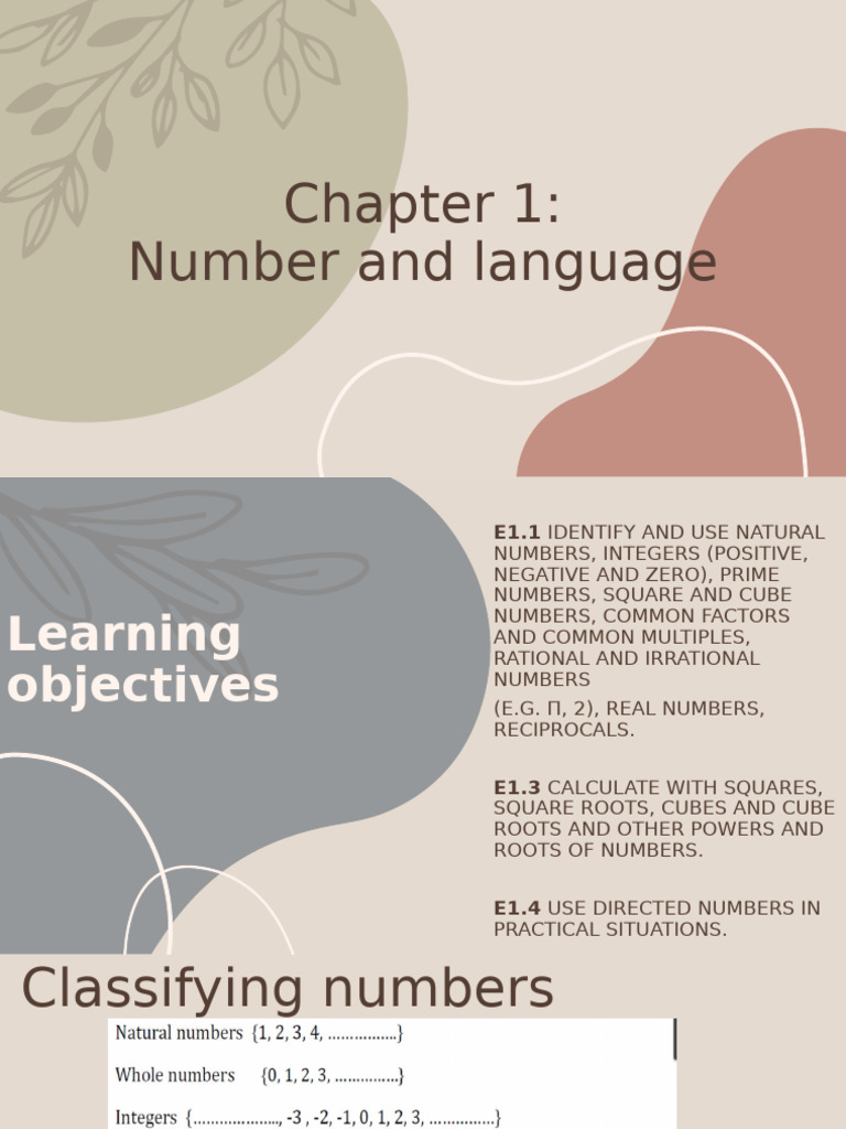 Chapter 1 - Number and Language | PDF