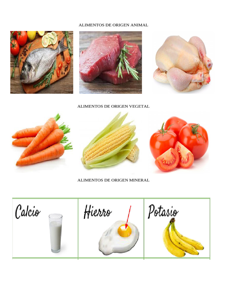 Alimentos de Origen Animal | PDF