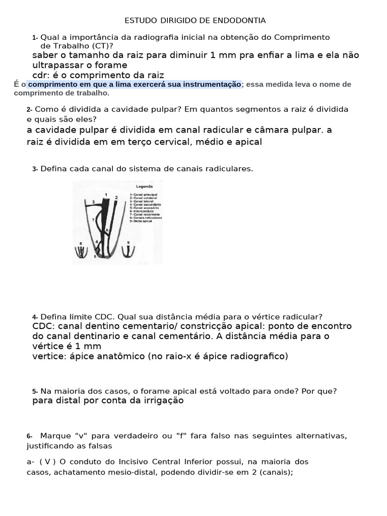 Estudo Dirigido de Endodontia | PDF