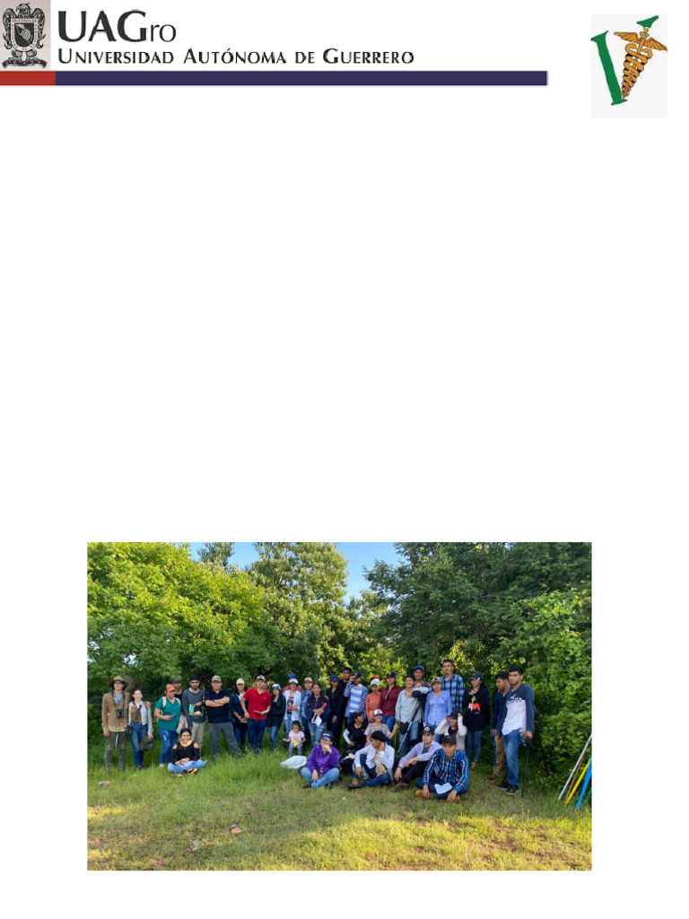 Reporte Lucero | PDF