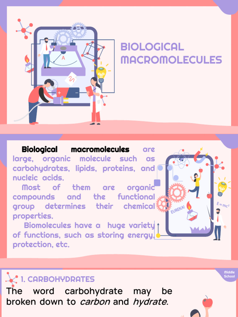 Biological Macromolecules | PDF