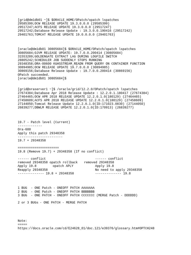 Patching Explanation 1 | PDF