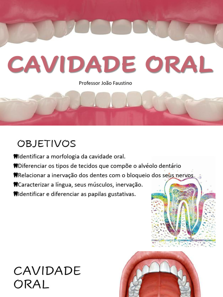 Aula Cavidade Oral Odonto | PDF