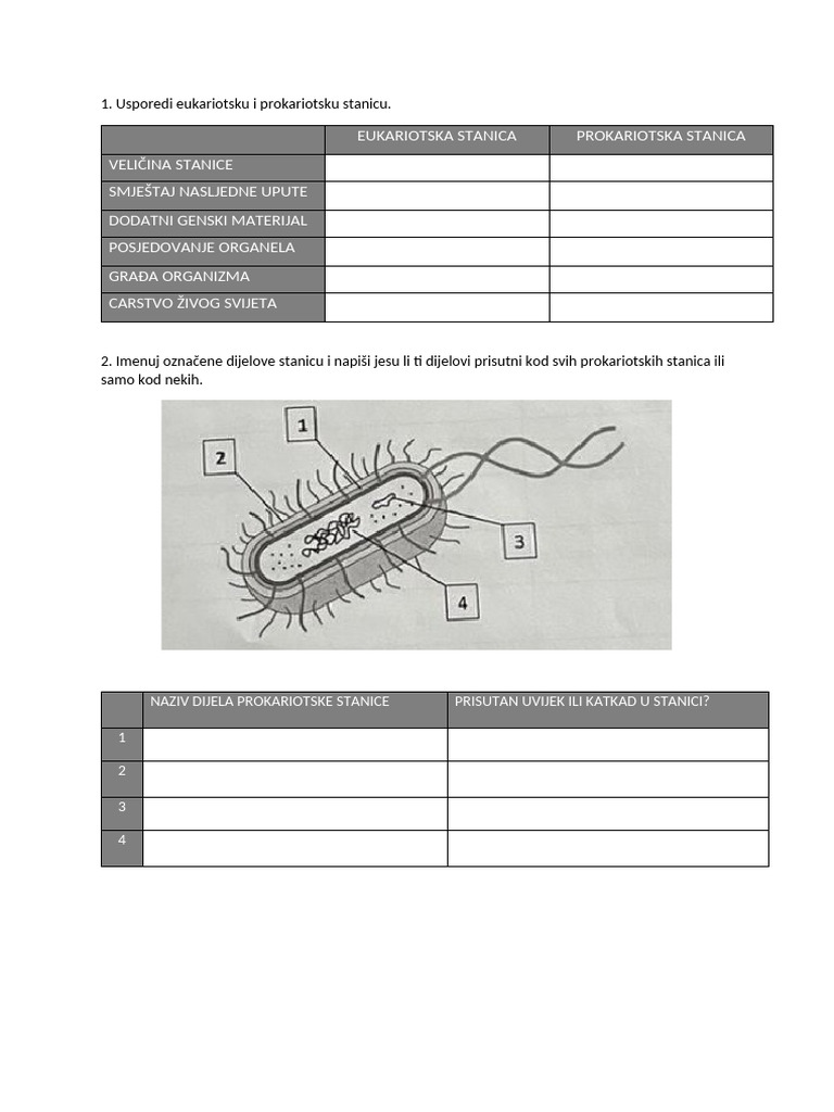 Biologija - Ispit | PDF