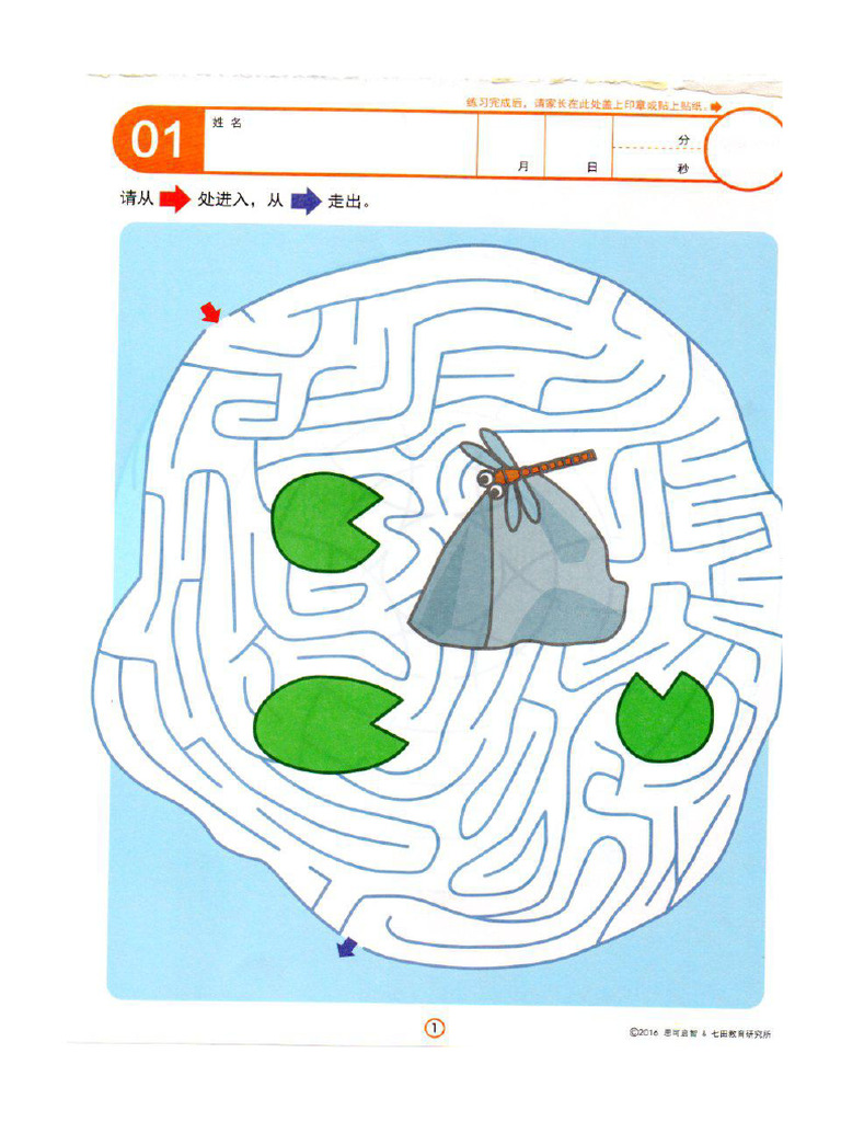 5-8Y Labirynth PDF | PDF