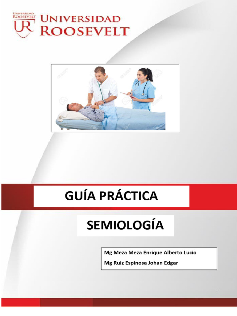 Guia de Practica | PDF