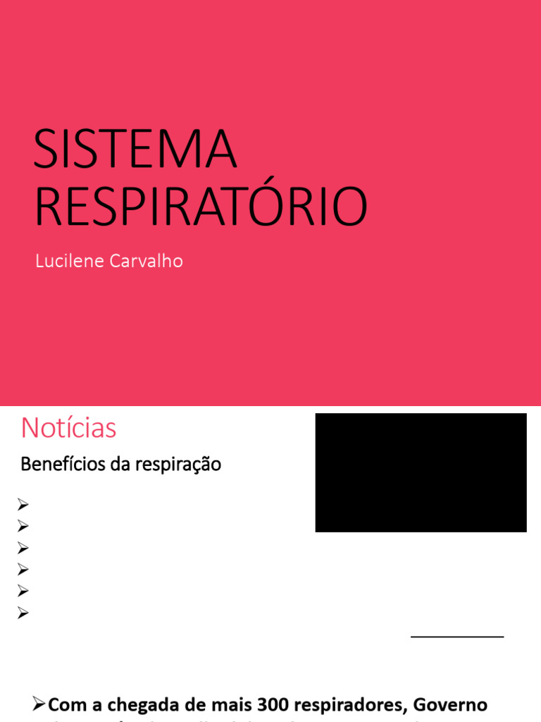 Tema 2 - Sistema Respiratorio | PDF