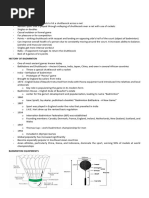 Badminton Rules and Mechanics Overview | PDF