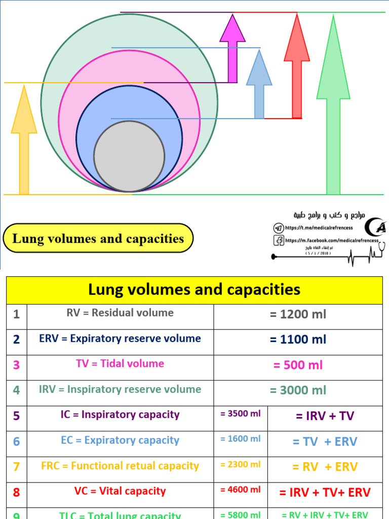 Lung Volumes and Capacities | PDF | Science & Mathematics