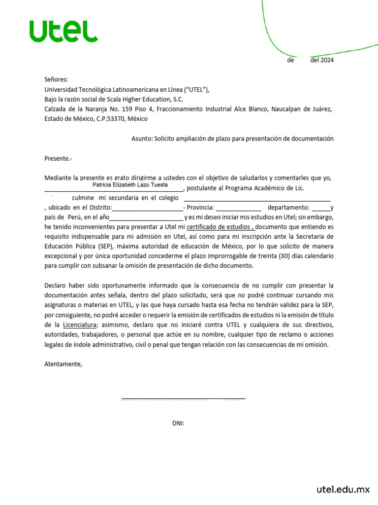 Ampliacion PATRICIA LAZO | PDF