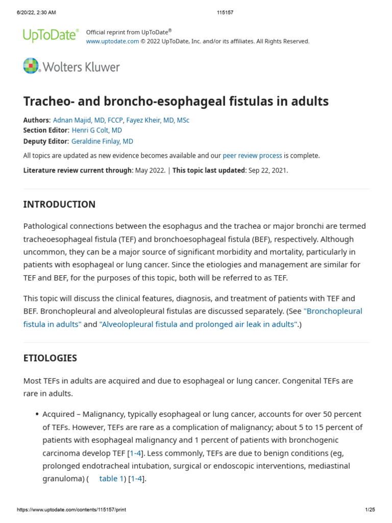 Tracheo - and Broncho-Esophageal Fistulas in Adults | PDF | Stent ...