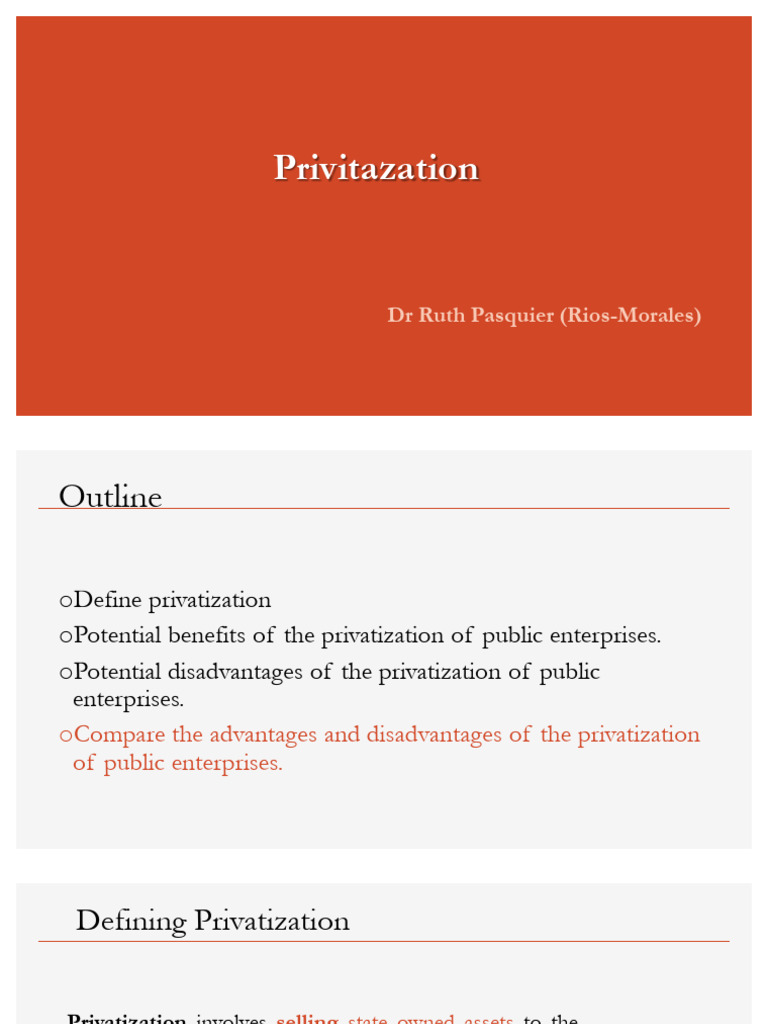 3.5 Privatization | PDF