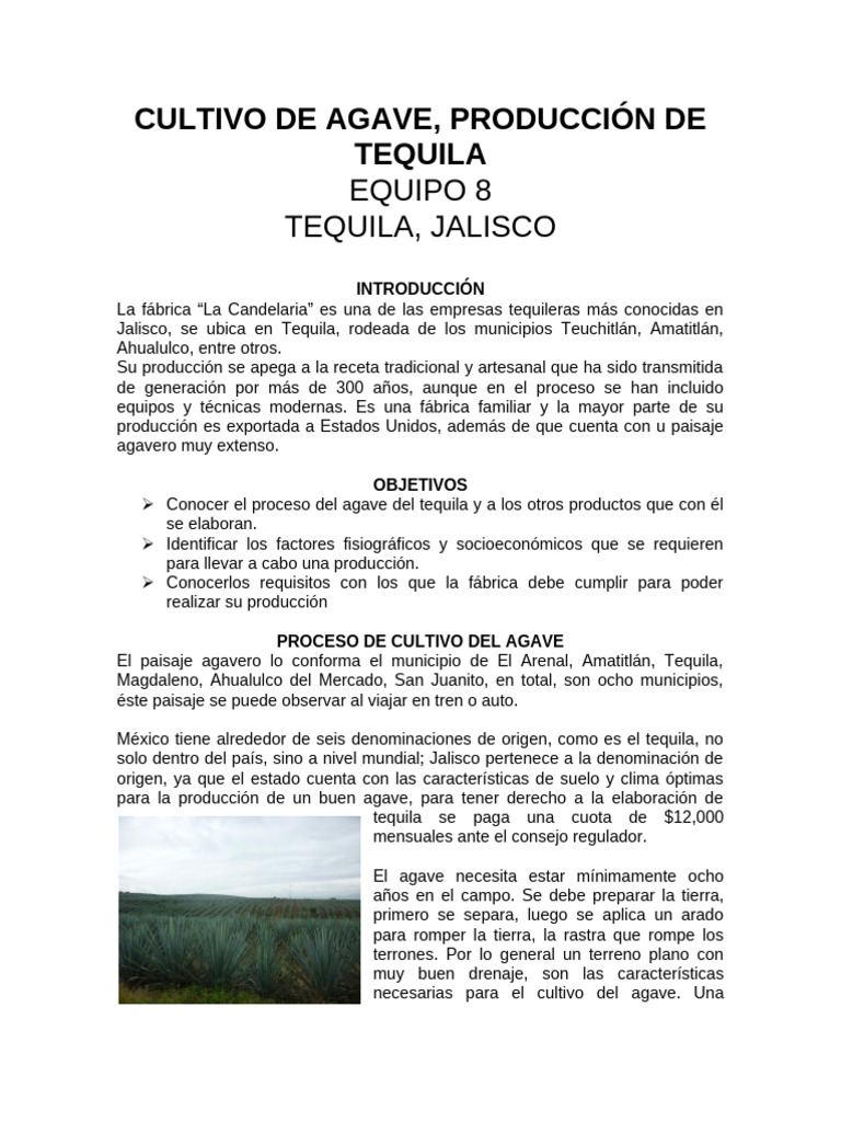 PRACTICA CULTIVO DE AGAVE Y PRODUCCION DE TEQUILA | PDF