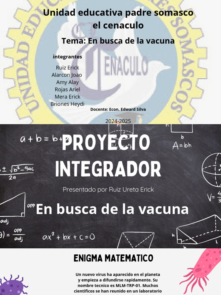 Proyecto Integrador | PDF