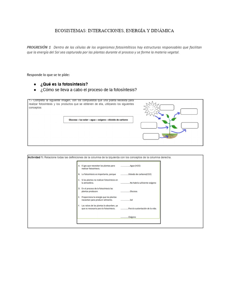 Ecosistemas - Interacciones, Energía y Dinámica | PDF