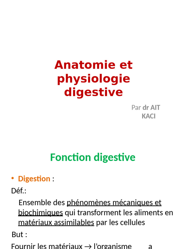 Anatomie Et Physiologie Digestive | PDF