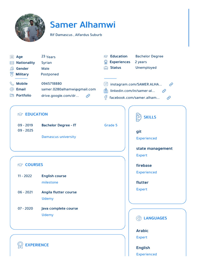 Samer Alhamwi Old CV | PDF