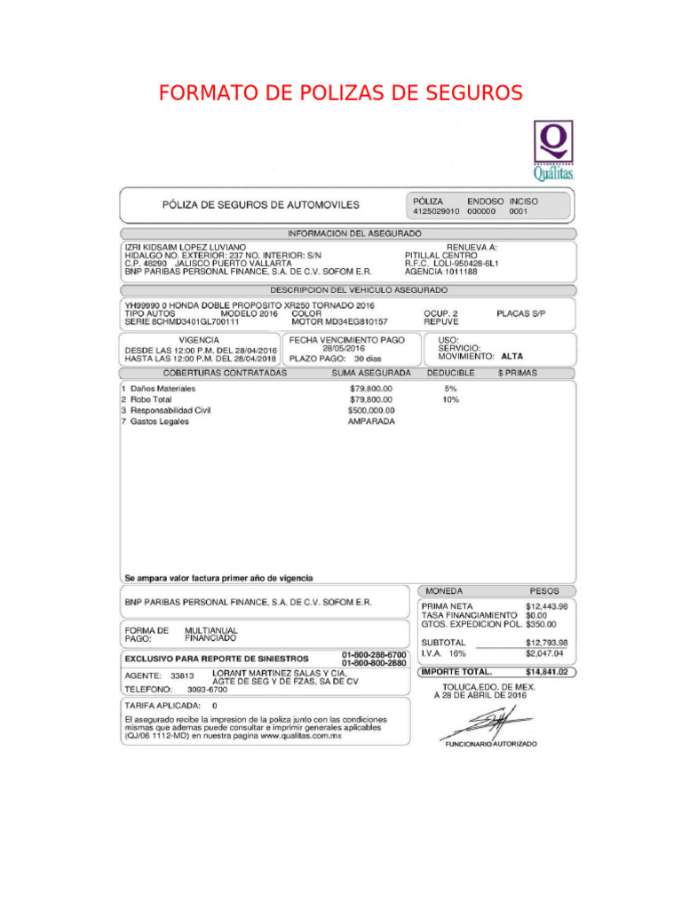 Formato de Polizas de Seguros | PDF