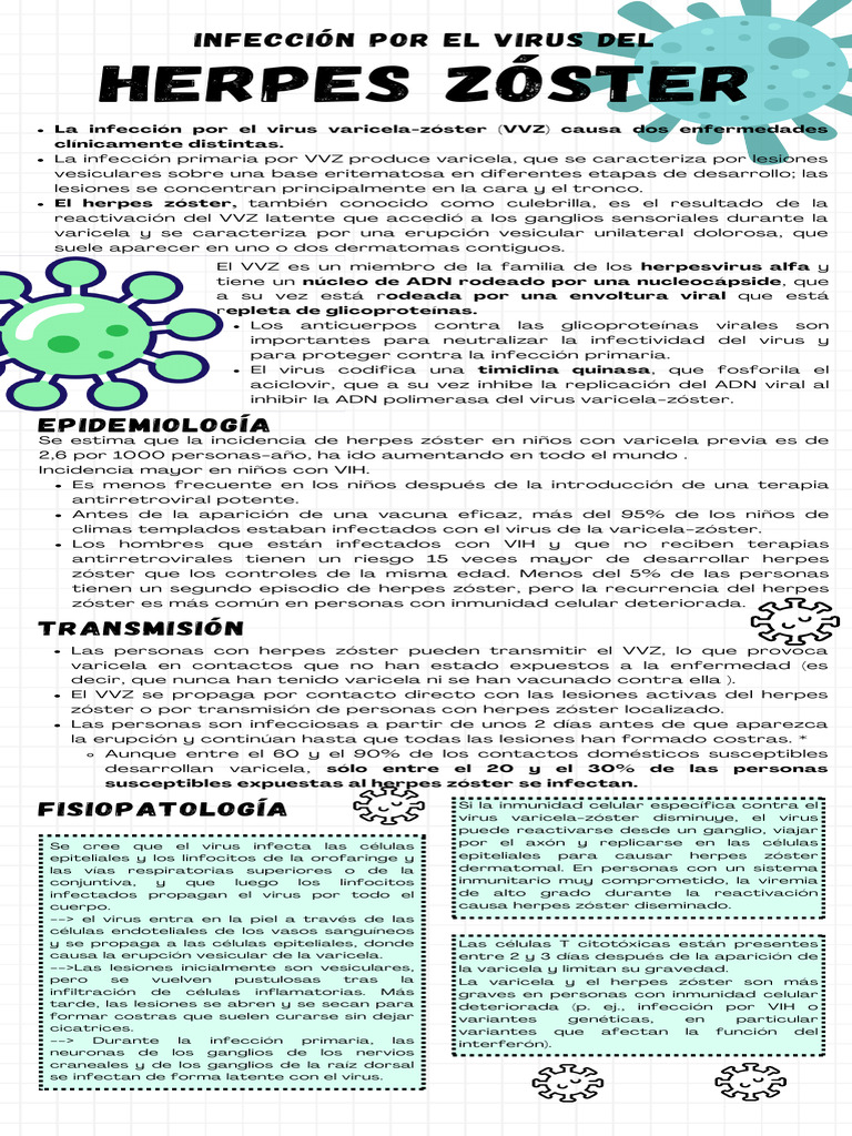 Herpes Zóster by Yeimer Holguin PUJ | PDF | Virus | Enfermedades virales