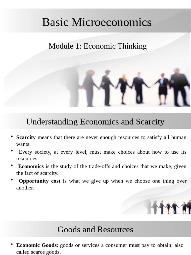 Basic Microeconomics | PDF