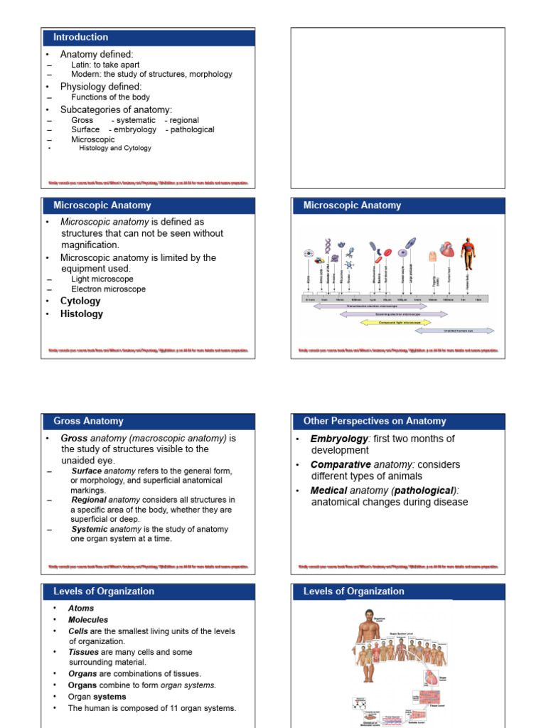INTRODUCTION To ANATOMY (13 Files Merged) (2 Files Merged) | PDF