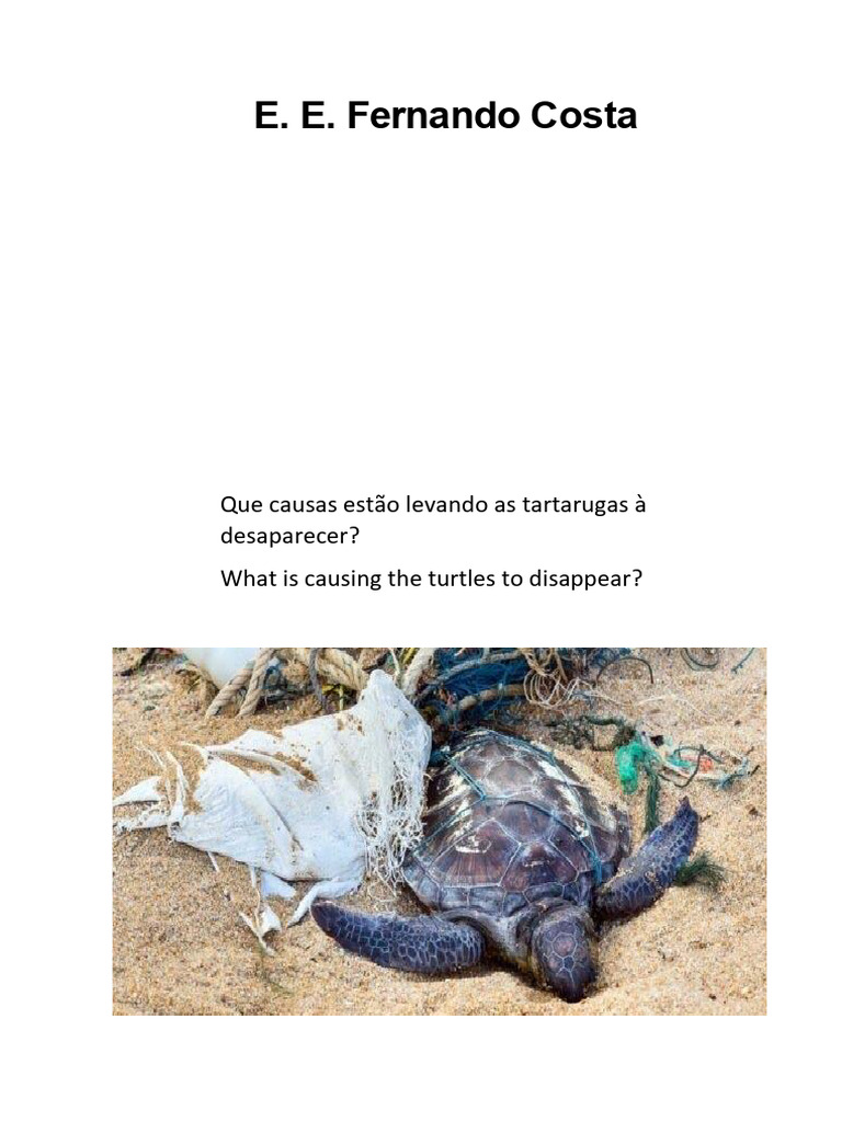 O Que Está Causando o Desaparecimento Das Tartarugas | PDF