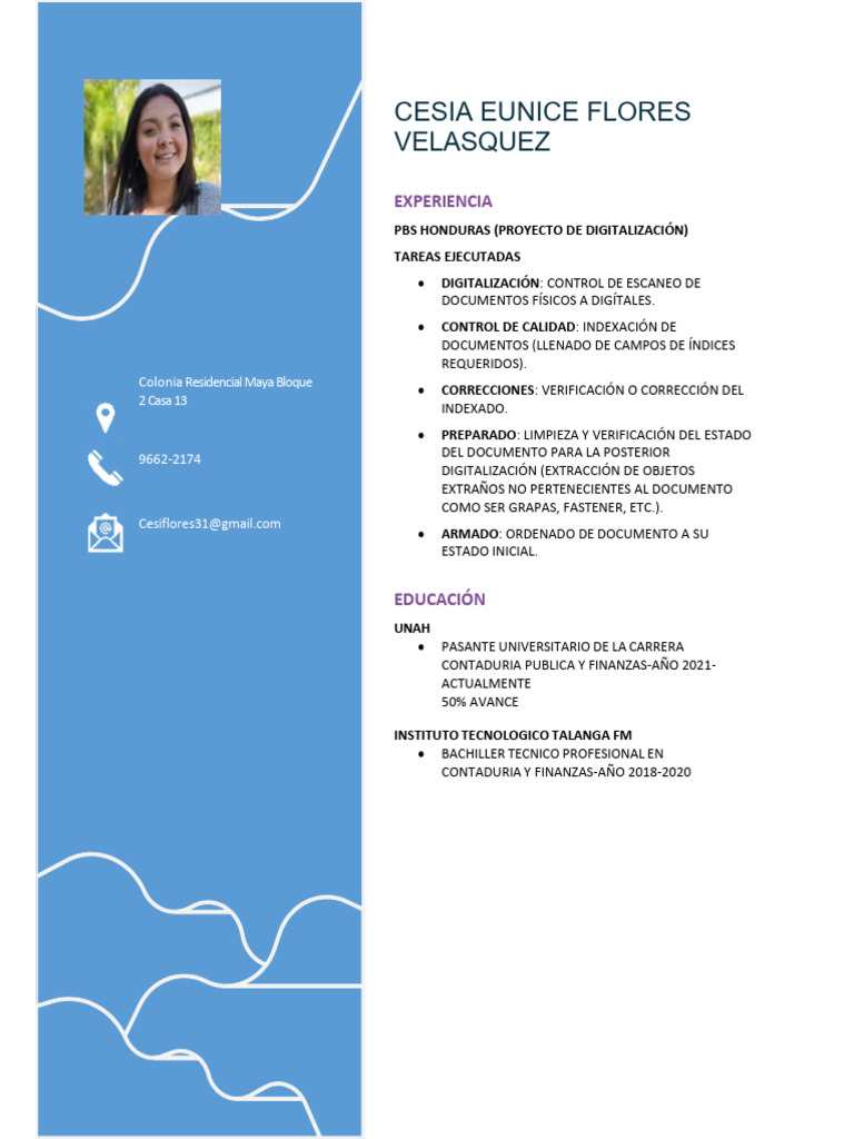 CV Cesia Velasquez | PDF
