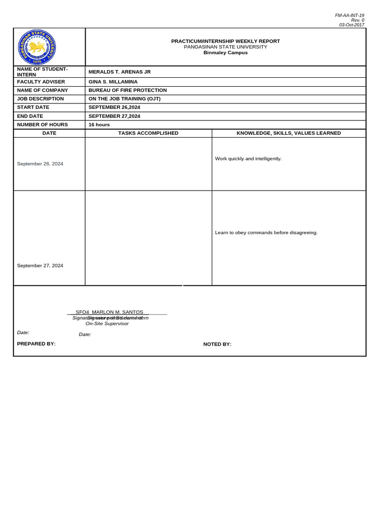 Individual Report Template | PDF