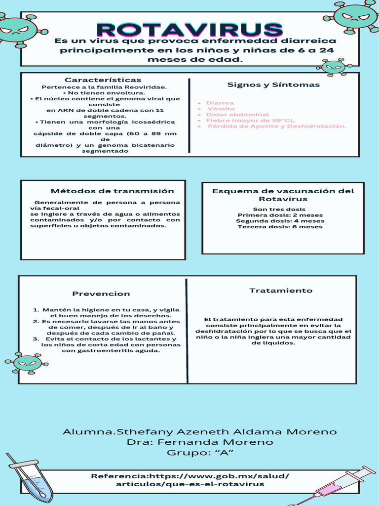 Infografia de Rotavirus | PDF