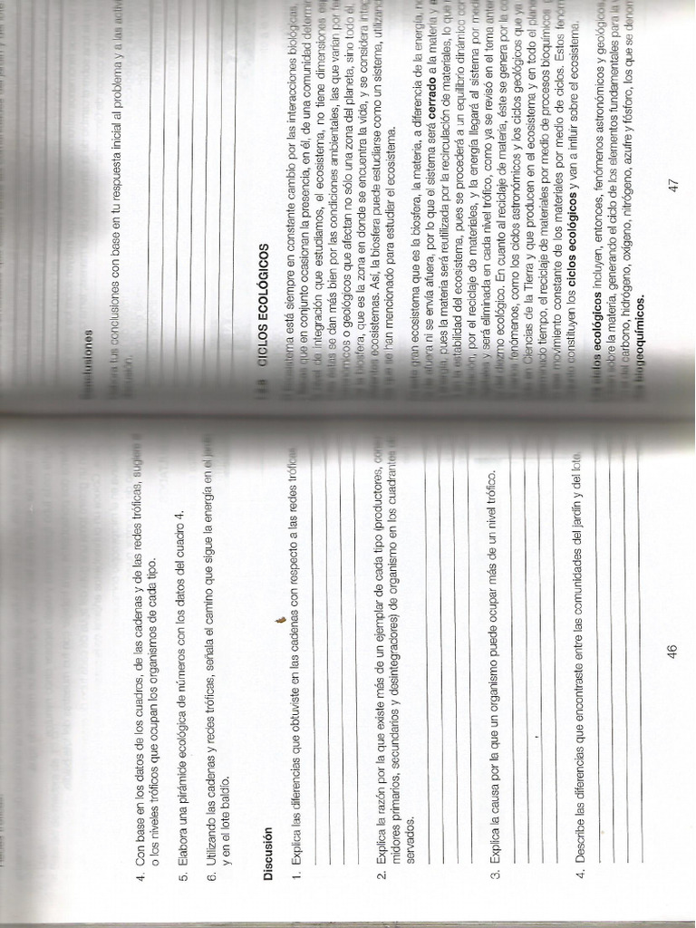 Ciclos Ecologicos-Biogeoquimicos | PDF