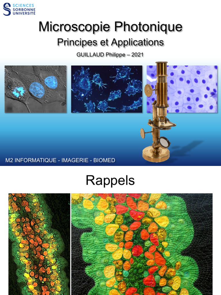 Microscopie Optique - GP - 2021 | PDF