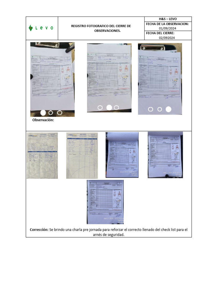 Observacion - Check List Arnes Mal Llenado | PDF