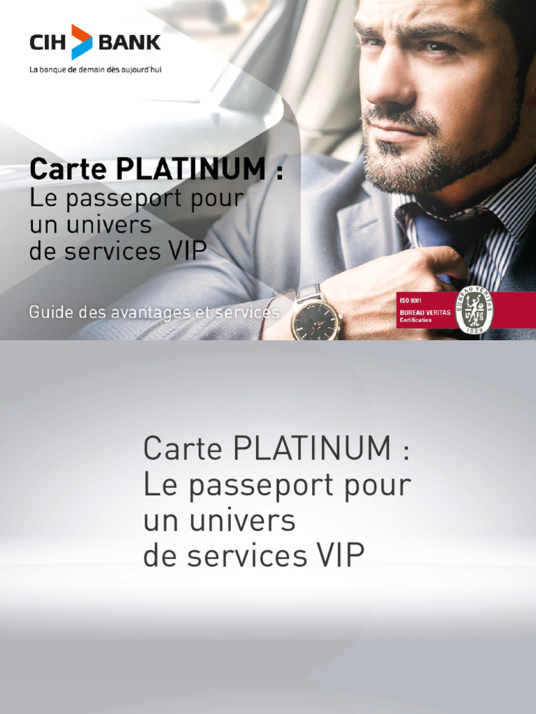 Guide Platinum | PDF