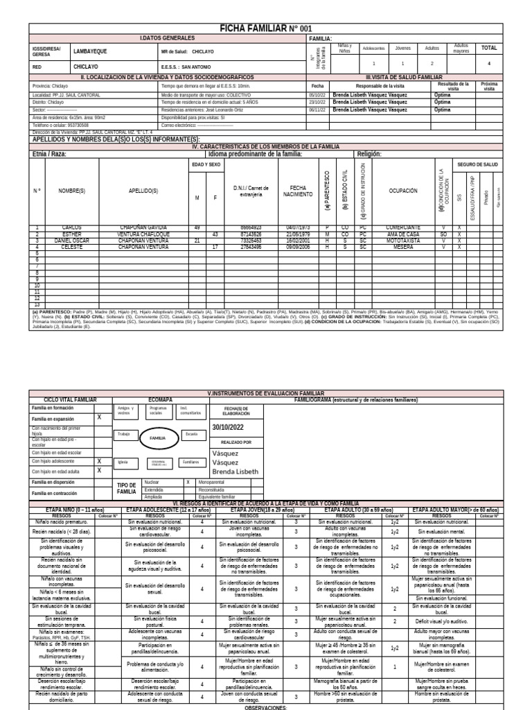 Ficha Familiar Vasquez Vasquez Brenda Lisbeth | PDF