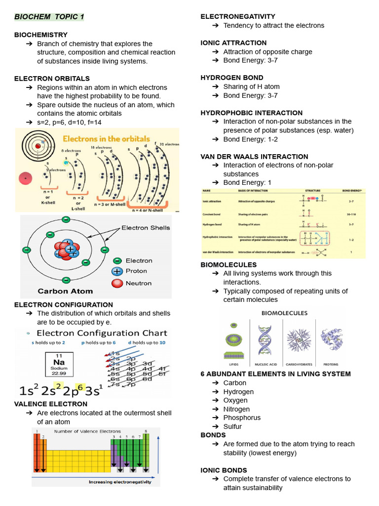 Biochem Lec | PDF
