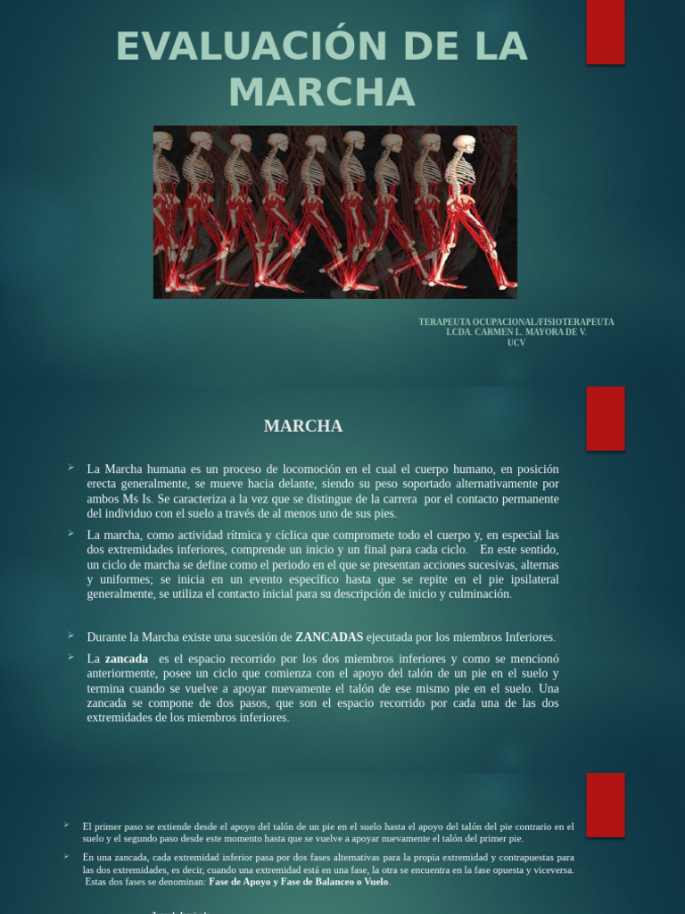 Tema Iv Evaluación de La Marcha | PDF