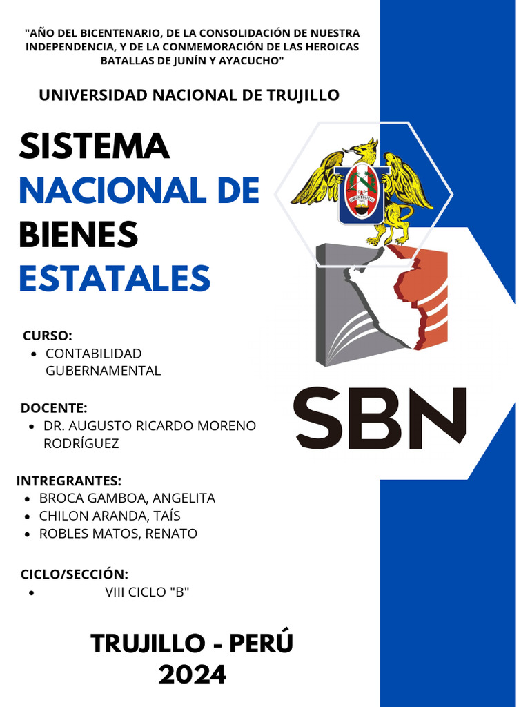 Informe Oficial - SBN | PDF