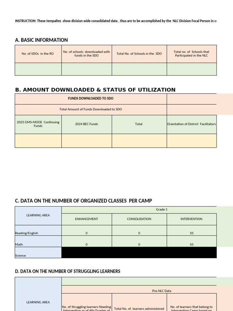 NLC Final Report 2024 Template | PDF