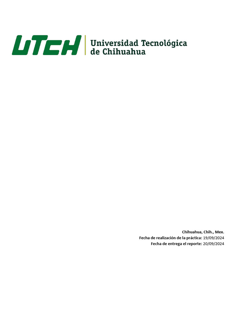 FormatoReportePrácticas JRMH | PDF | Business | Información